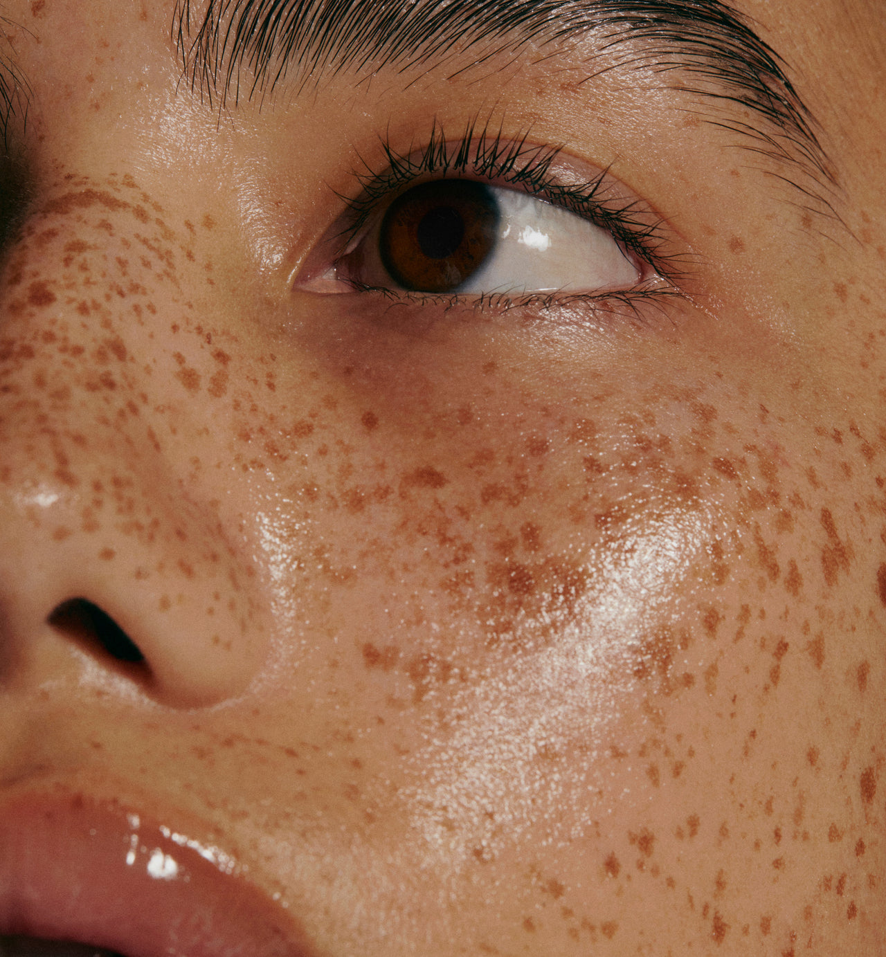 the barrier set | rhode skin