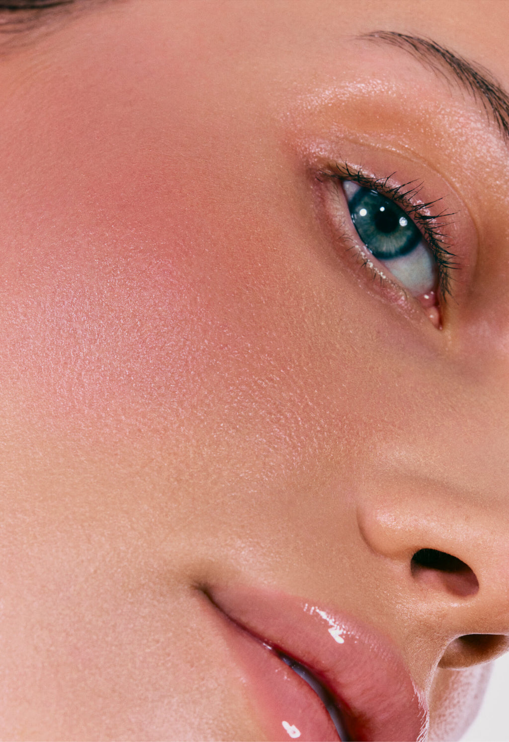 the duos piggy + ribbon | rhode skin